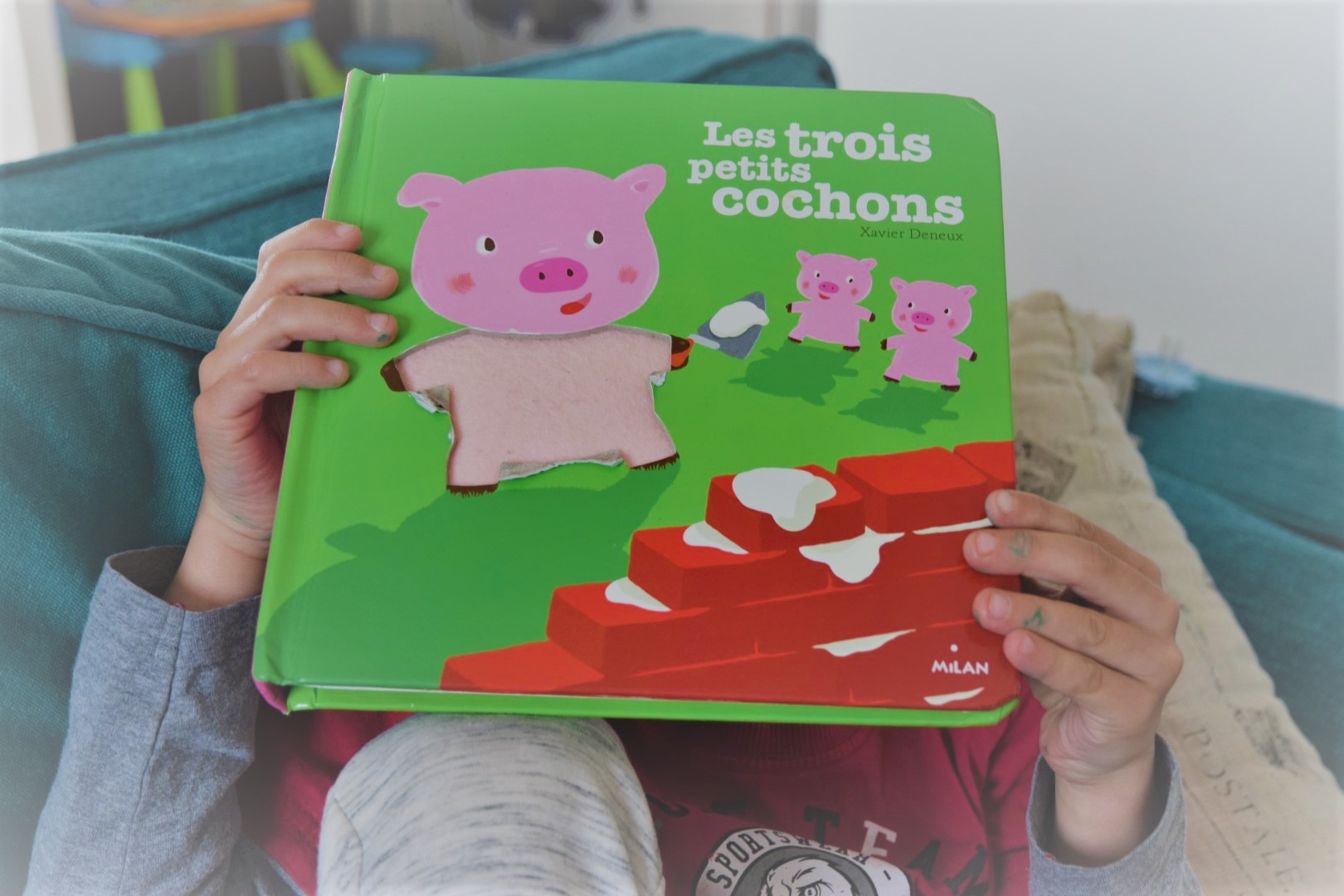 Les trois petits cochons | Livre enfant